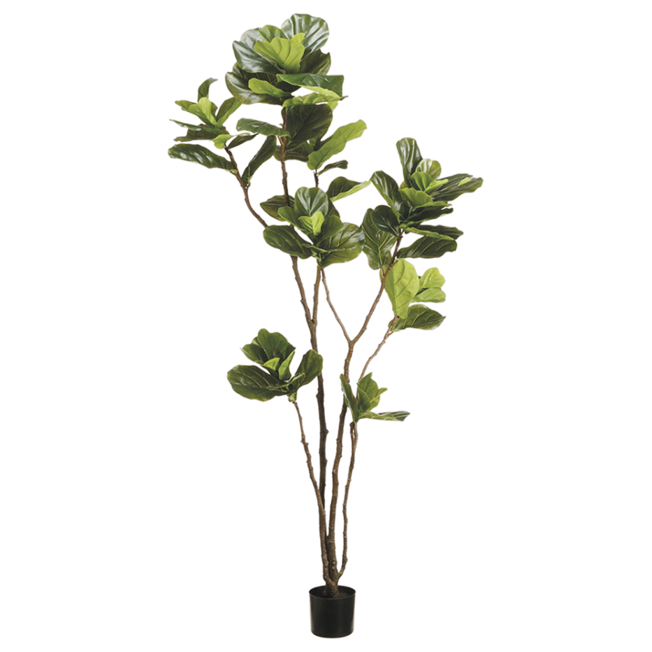 EVA FIDDLE LEAF TREE – Fig & Birch Interiors
